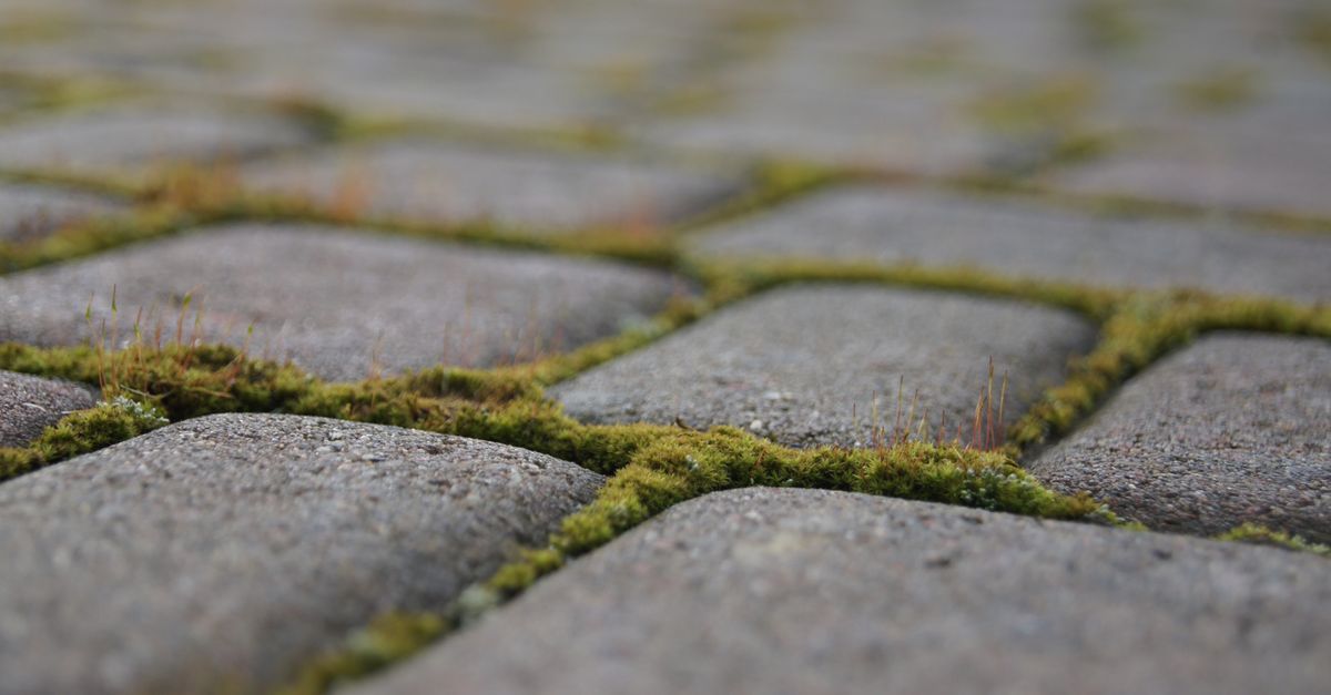 Gamification: The implementation | Sigwin